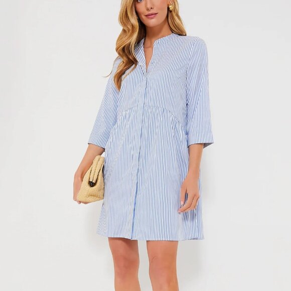 Tuckernuck Royal Shirt Dress